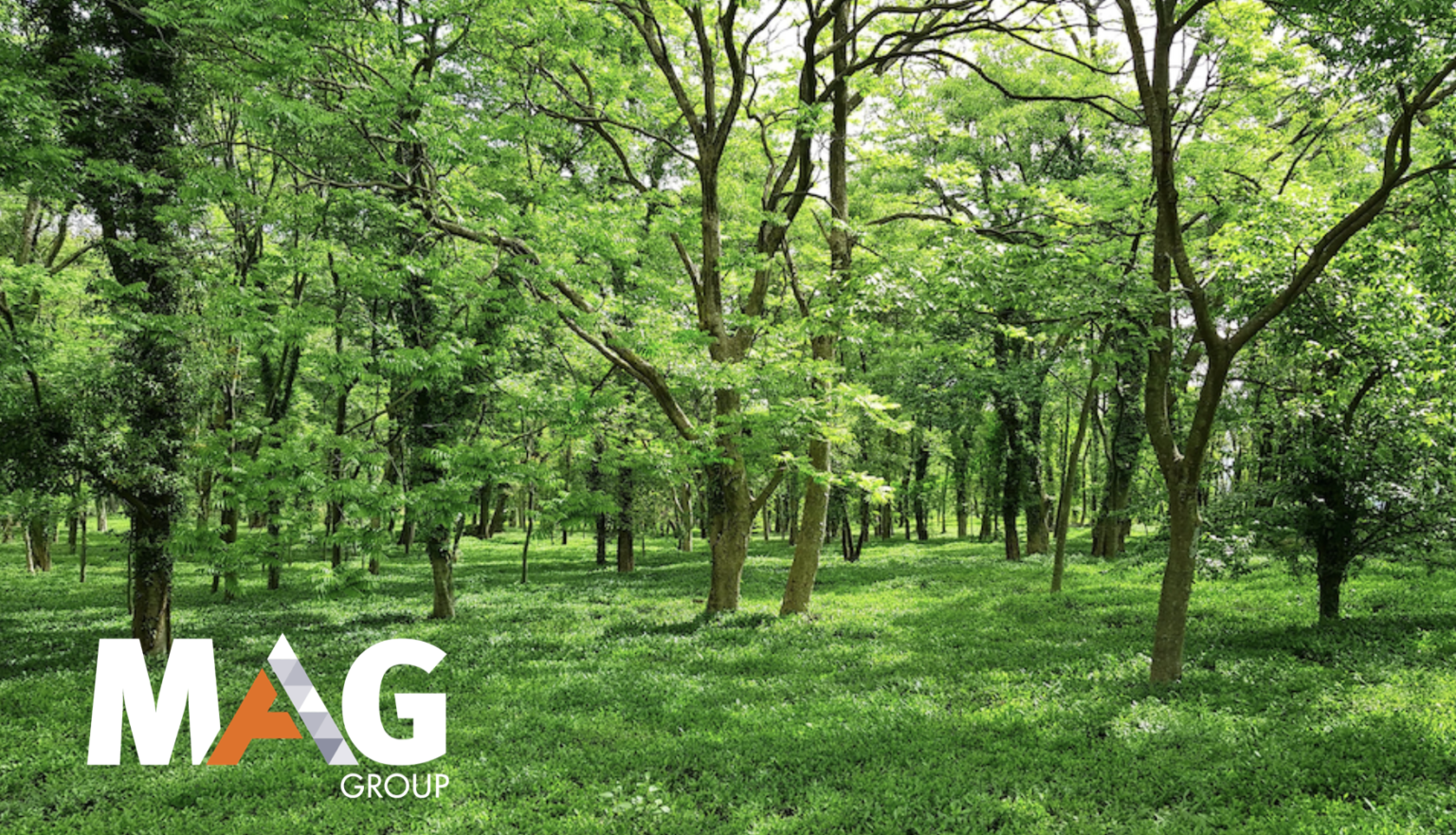 500 Trees Planted For 500 Commercial Laundry Machines