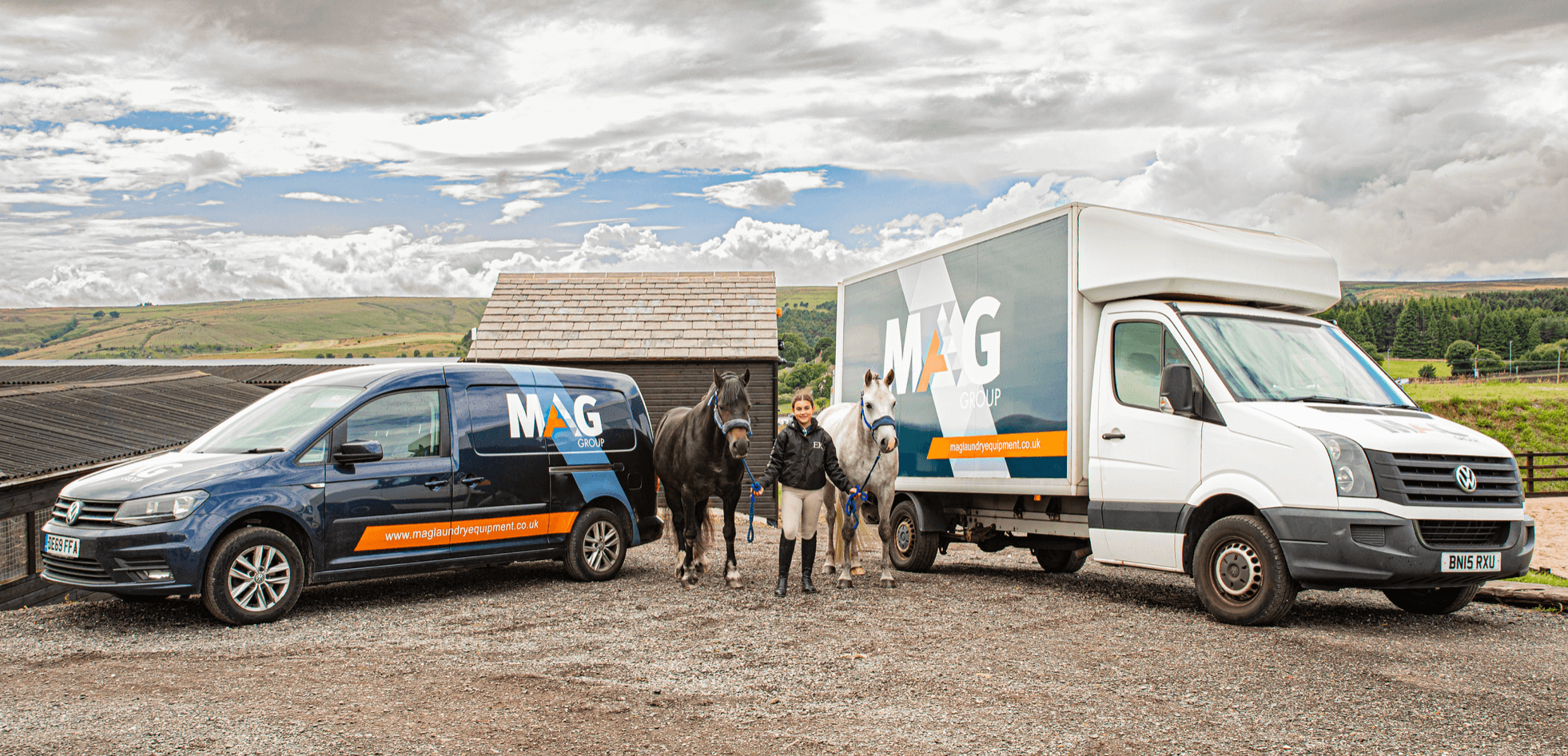 Unbridled Cleanliness: Elevating Equestrian Care in laundry